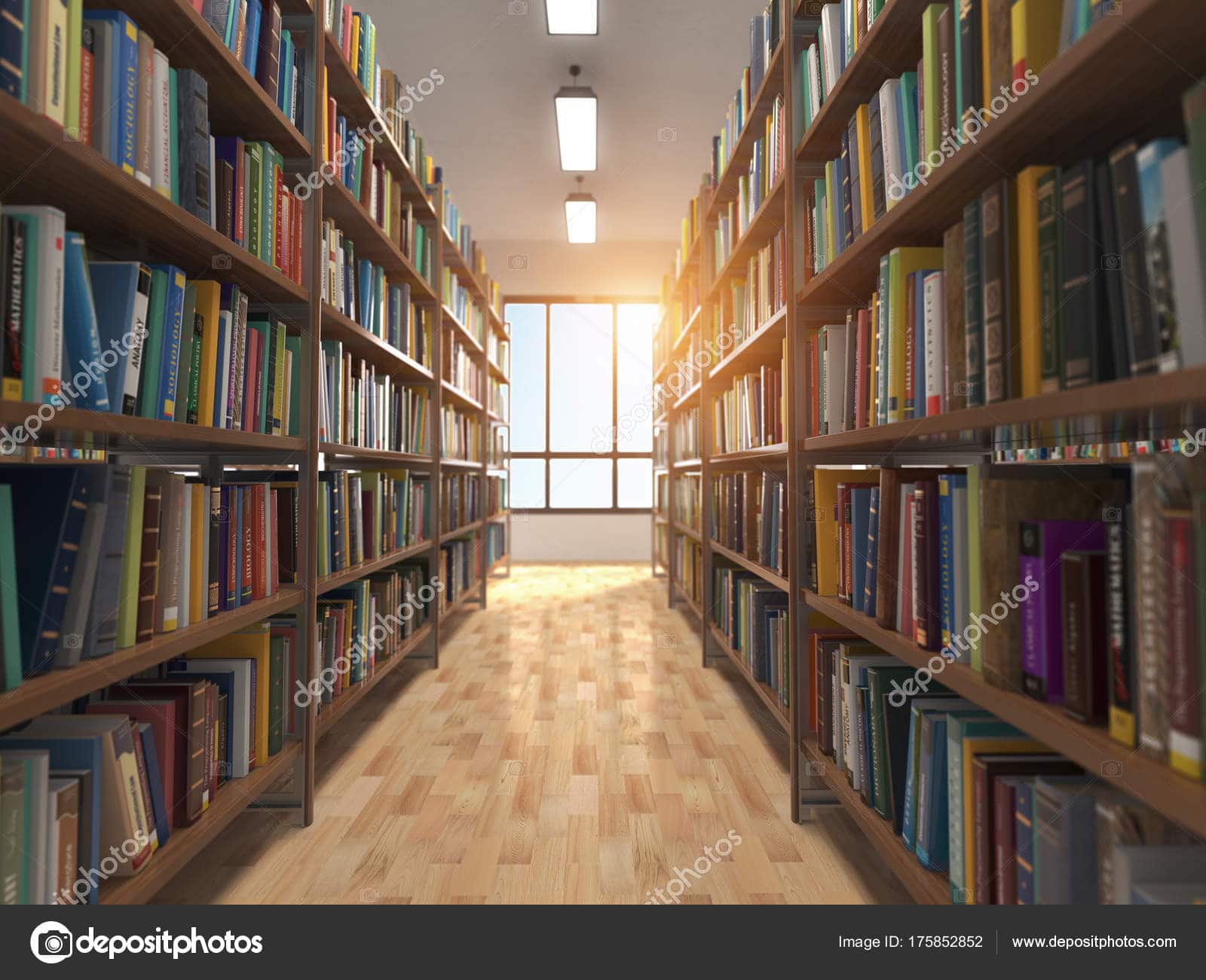 Friends of the Library | Frankfort Public Library District