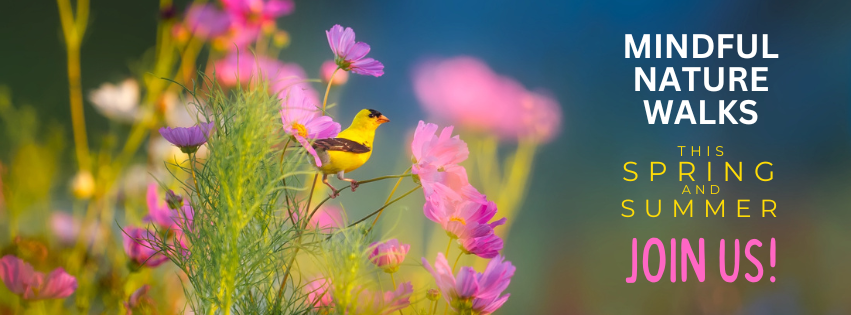 Frankfort Public Library District | Frankfort, IL